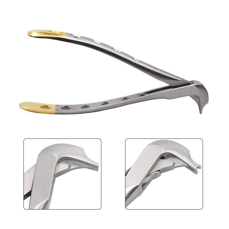 Home - Bectel International